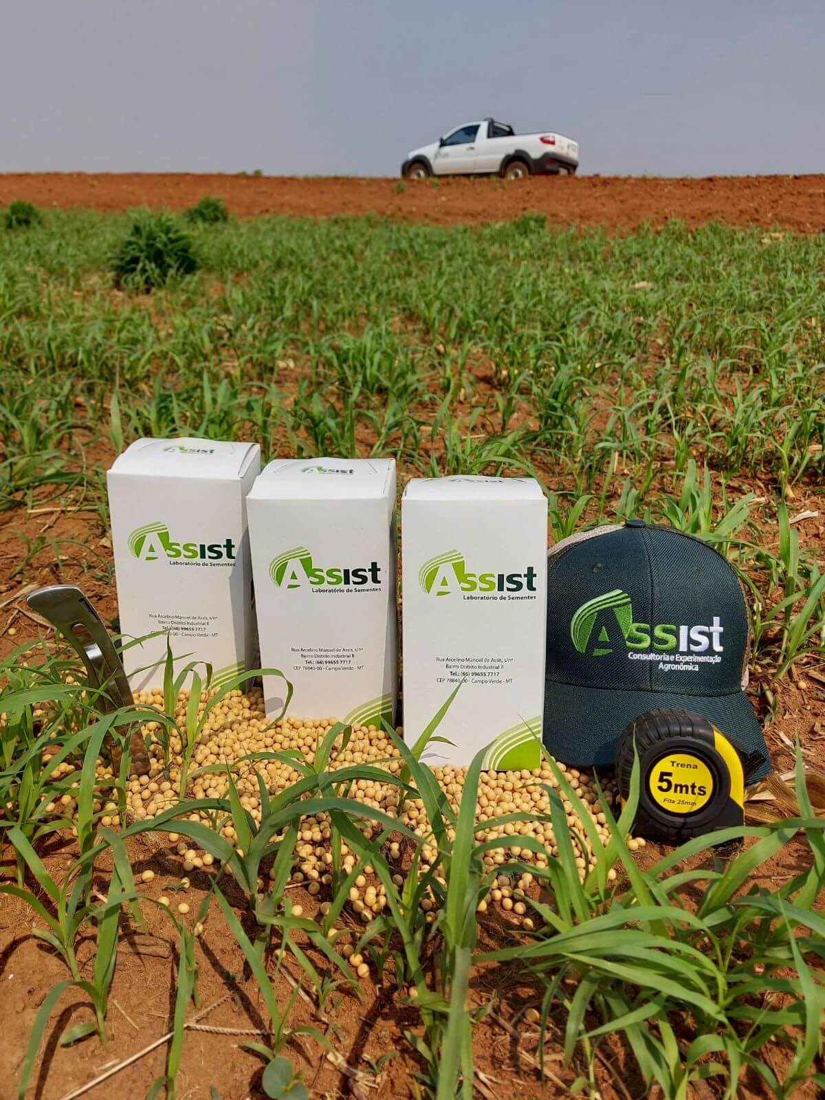 A Assist Consult - Assist Consult