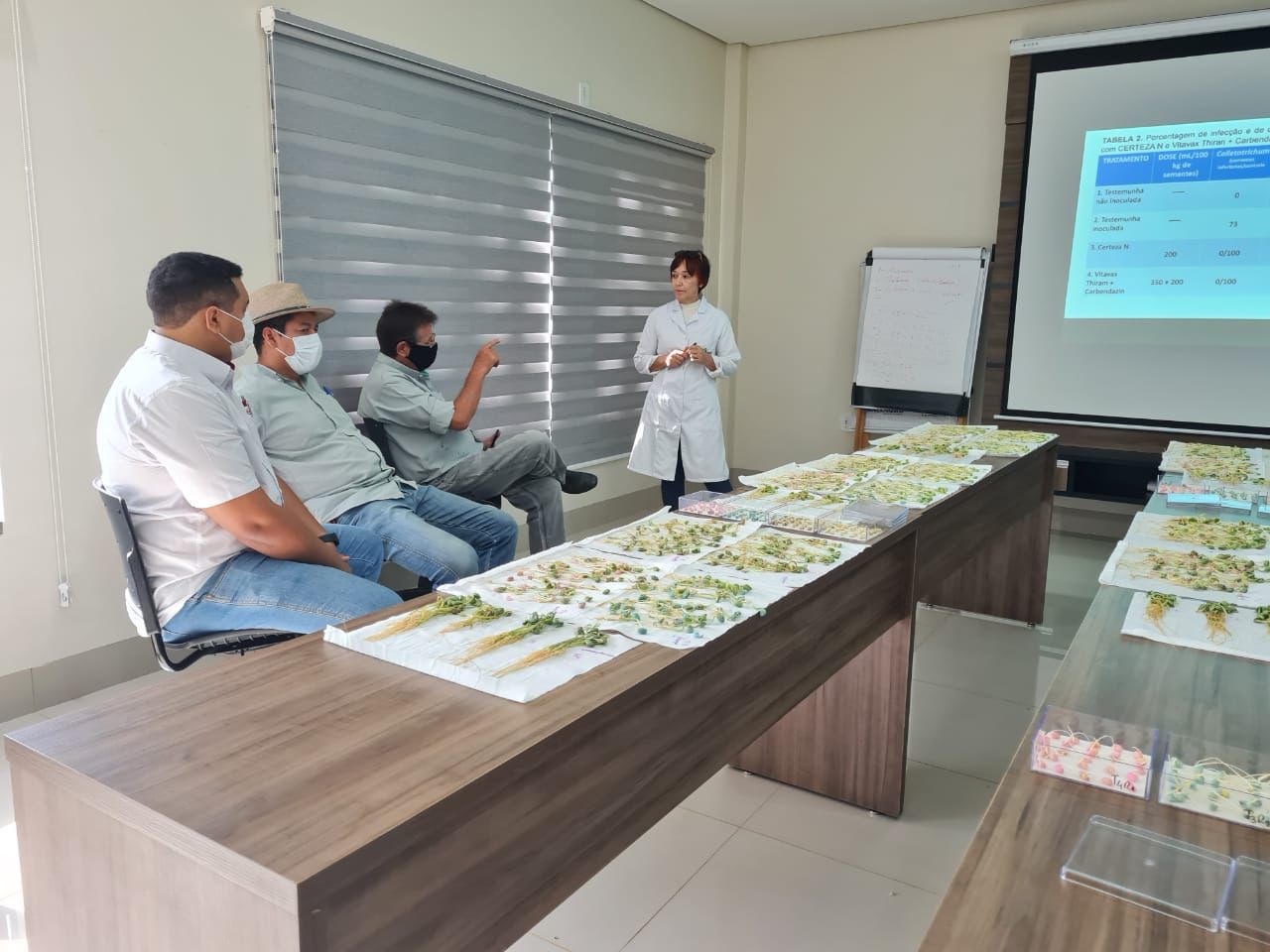 A Assist Consult - Assist Consult